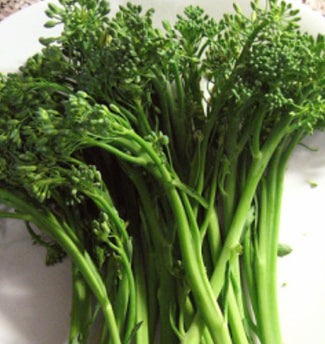 BROCOLLI RAAB 'Spring Rapini' | Vegetable Seed – Southern Harvest